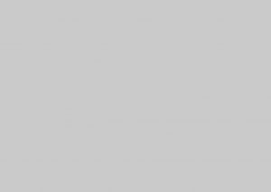 Gris Humo - El Galpón